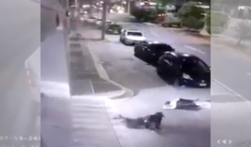 Lobo afirma que implicado en asesinato de su hijo fue descuartizado en ...